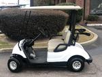 Augusta Golf Cart, LLC : Inventory - Augusta, GA